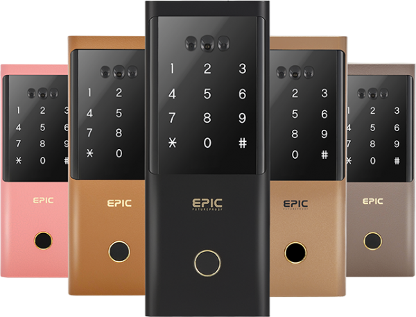 EPIC 8G Face Recognition HDB Gate Digital Lock in Pink, Grey and brown ...