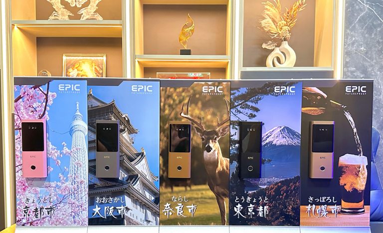 EPIC 8G Face Recognition HDB Gate Digital Lock in Pink, Grey and brown ...